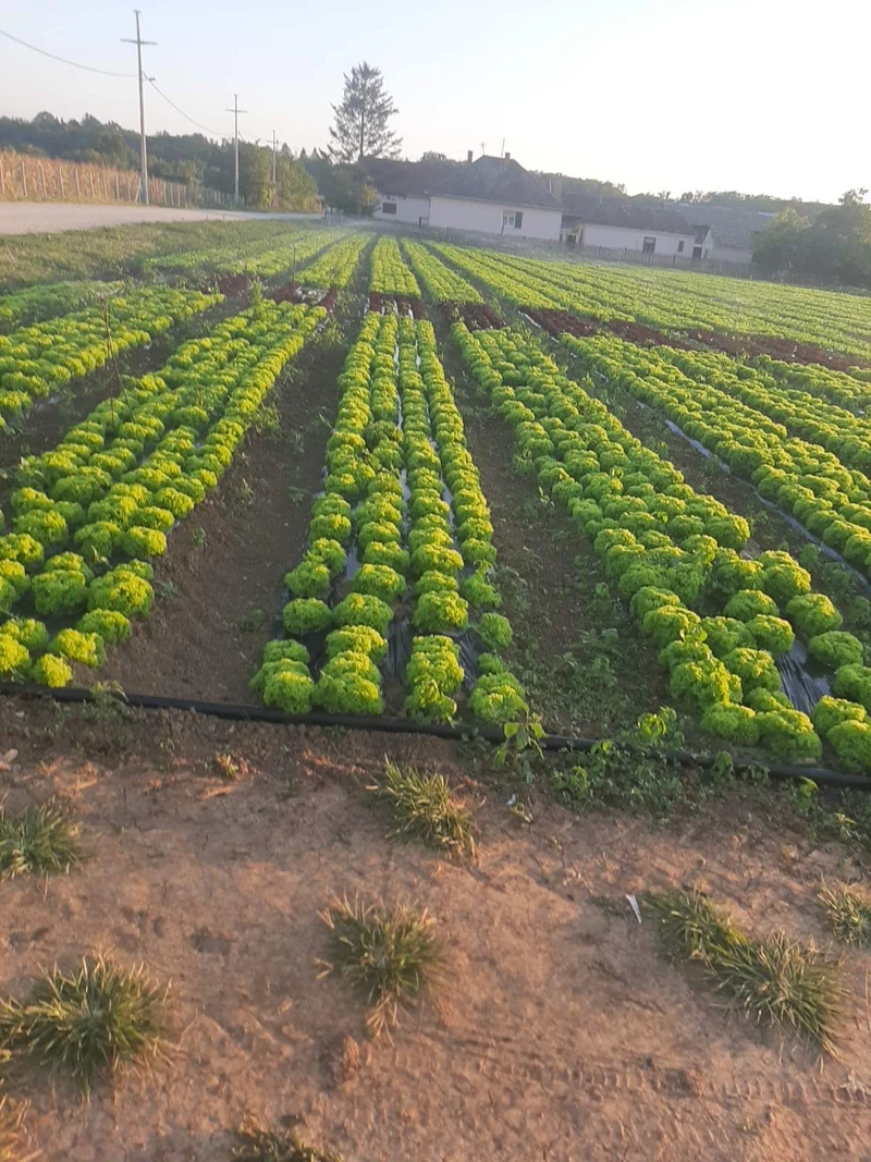 Kontakt – Stema Group